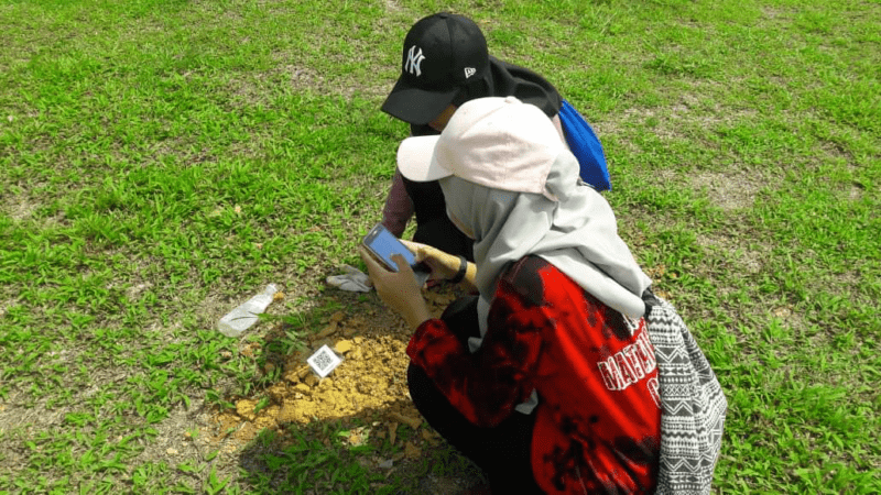 Planting, Tagging and Monitoring of Trees as A Way to Mitigate Climate ...