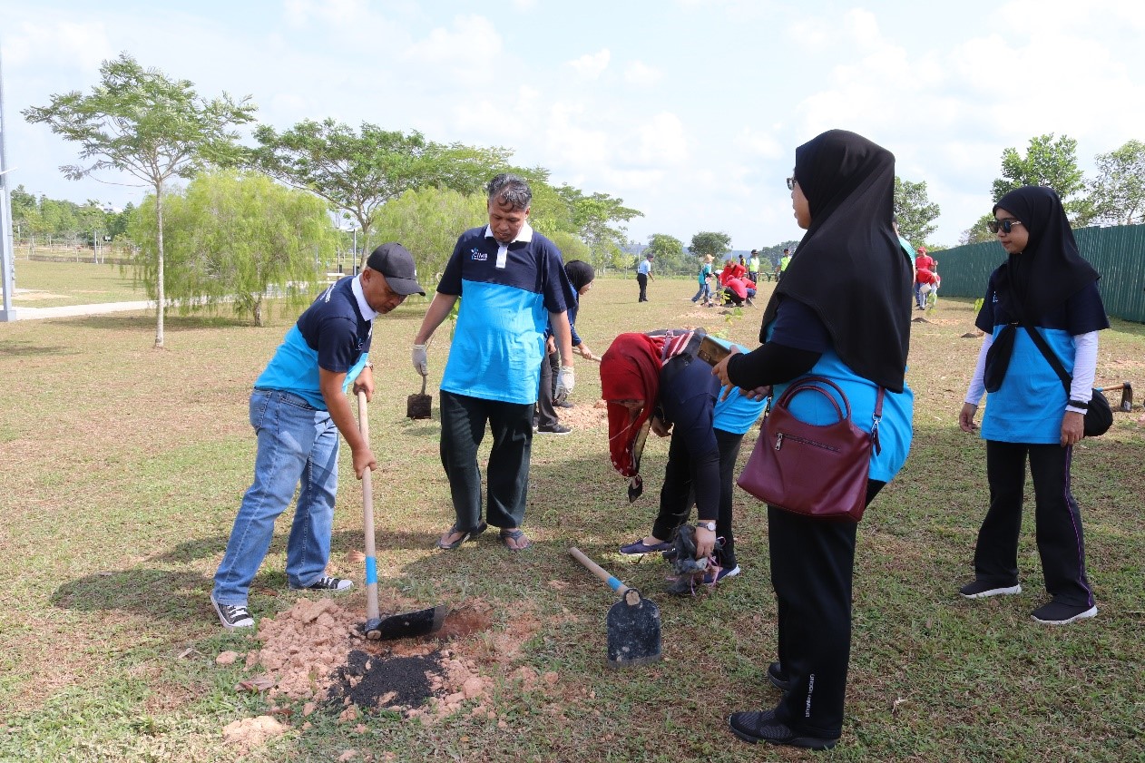 “RIGHT TREE AT THE RIGHT PLACE” – UTM NewsHub